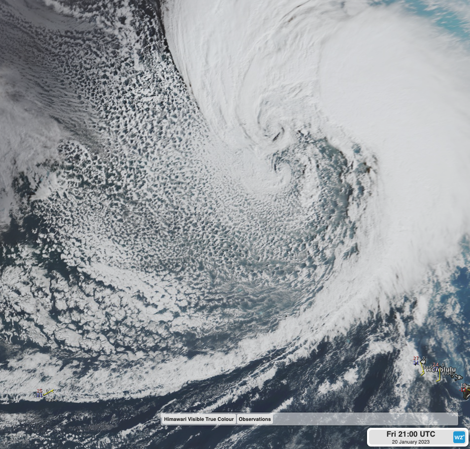 Big wave comp 'The Eddie' goes off