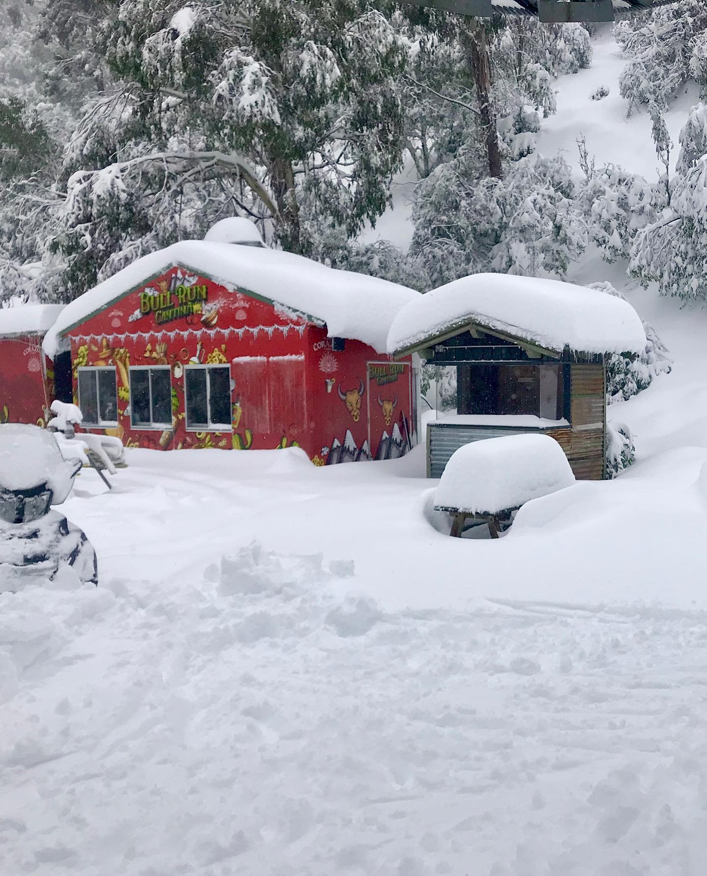 Should I go to the snow this weekend?