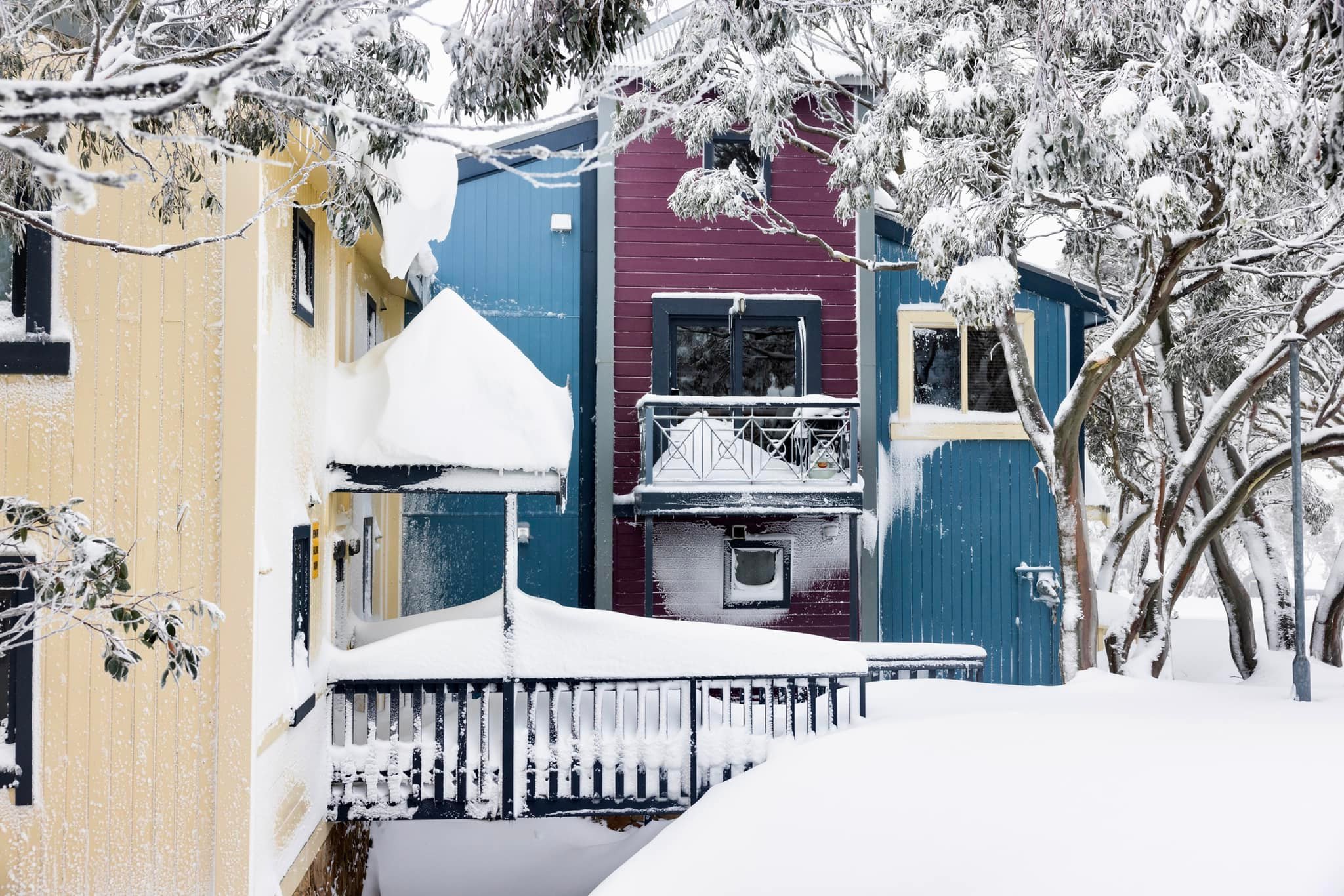 Should I go to the snow this weekend?